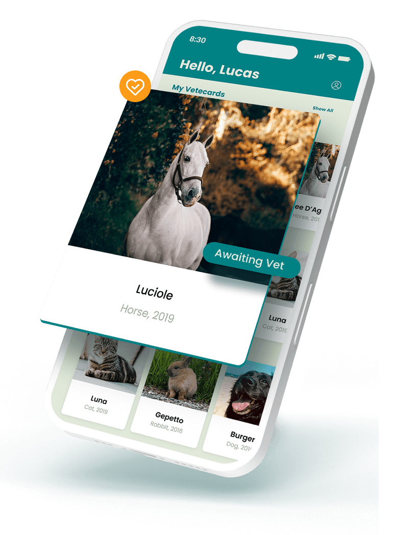 Welcome to VET e-Card